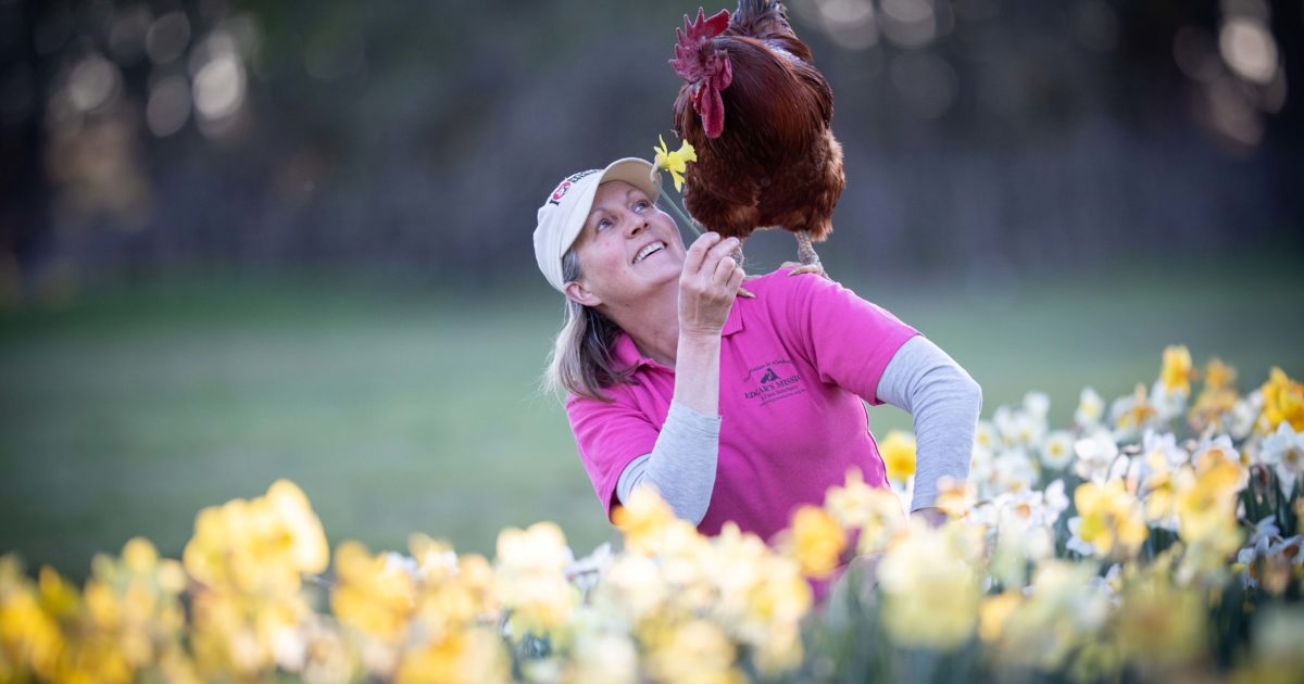 Institute of Community Directors Australia | People with Purpose:…