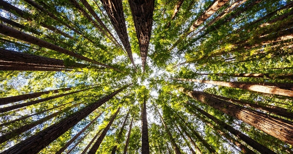 SmartyGrants | Green funders add $300m to the cause, but it’s nowhere…